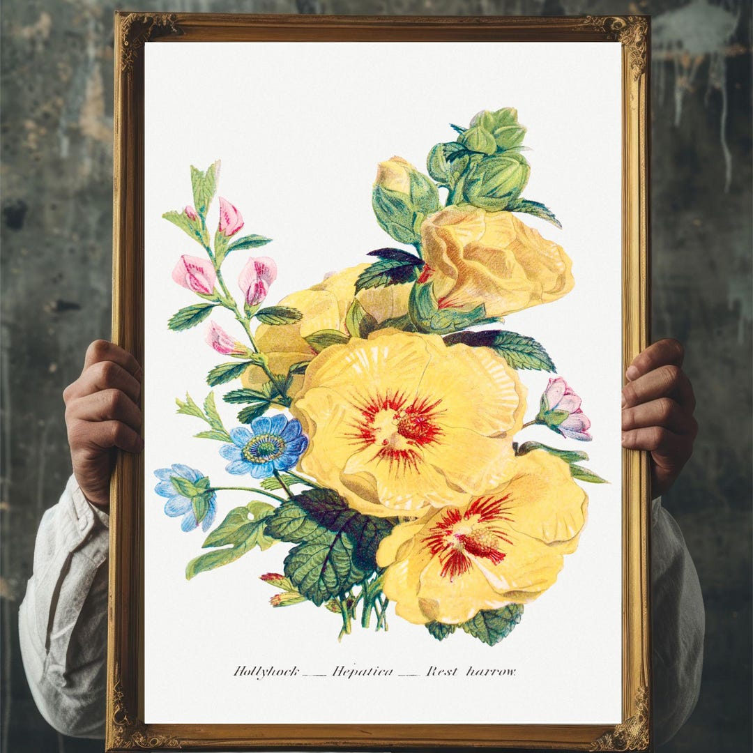 Vintage Botanical Wall Art – Hollyhock, Hepatica & Rest Harrow ...