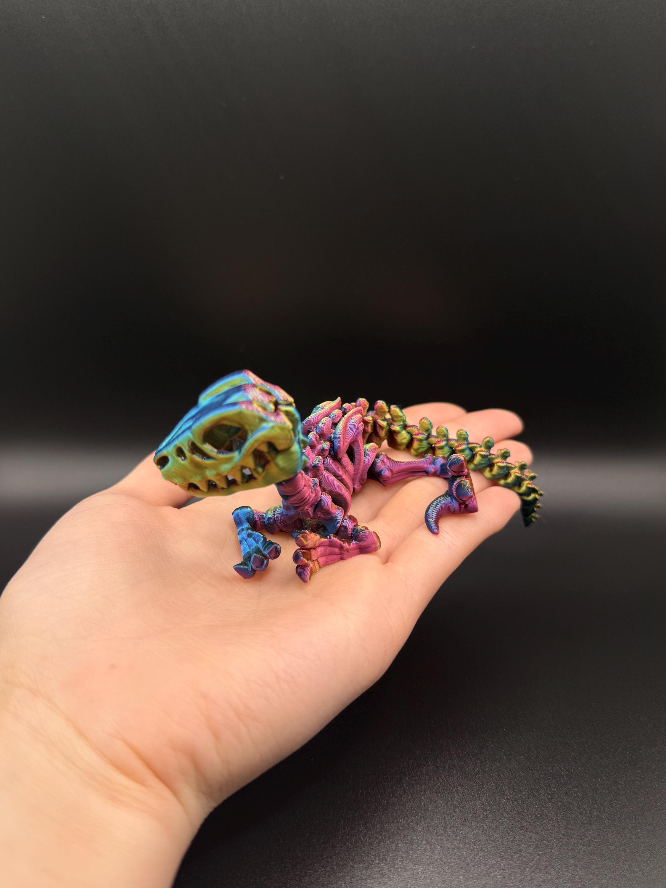Flexi Skeleton Dinosaur - Raptor | 3D Printed | Articulated Fidget Toy ...