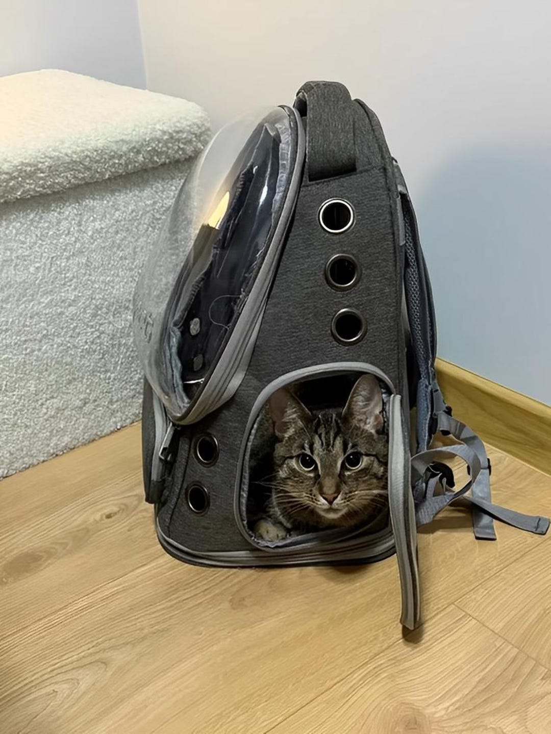 Modern Retro Mid-century Backpack, Geometric Atomic Cat Backpack, MCM ...