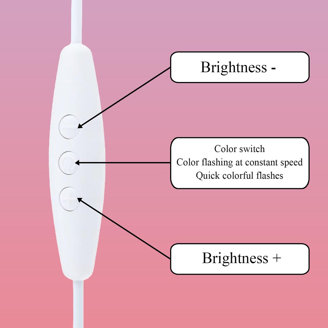 Personalized Butterflies and Moon Flower Led Night Light, Kid Room ...