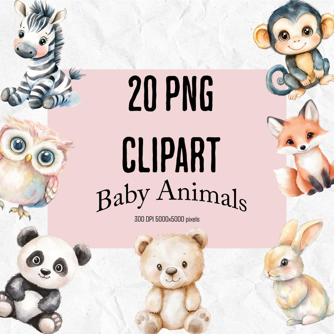 Cute Baby Animal Clipart, Printable 20 PNG Watercolor, Celebration ...