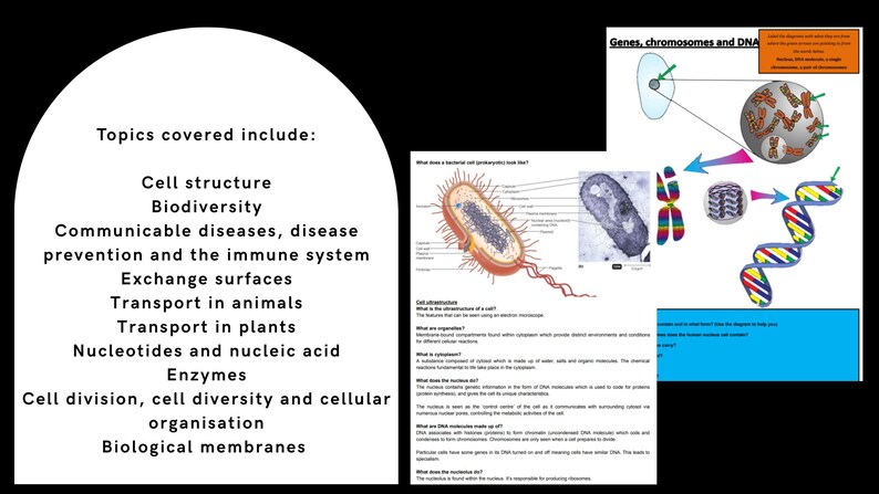 A-level Biology Notes | Revision Notes | Flashcards | Presentations ...