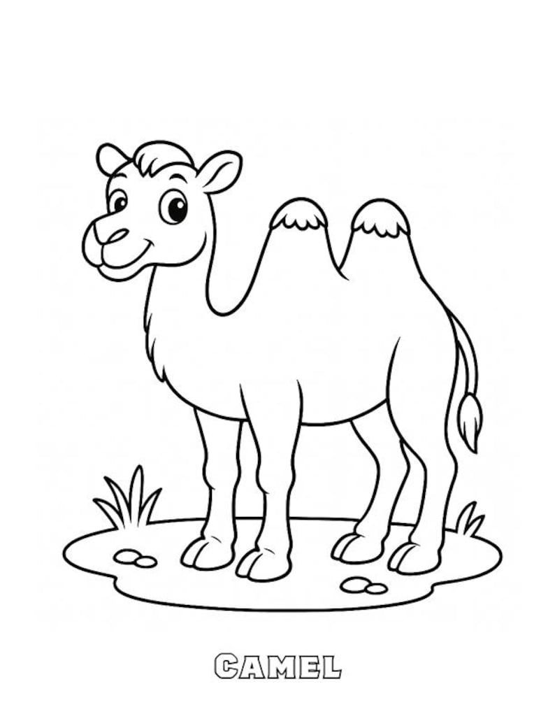 Camel Coloring Page for Kids – Printable Animal Coloring Sheet ...