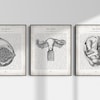 OBGYN Office Decor, Set of 2 OB/GYN Wall Art Print, Thank You Gift for ...