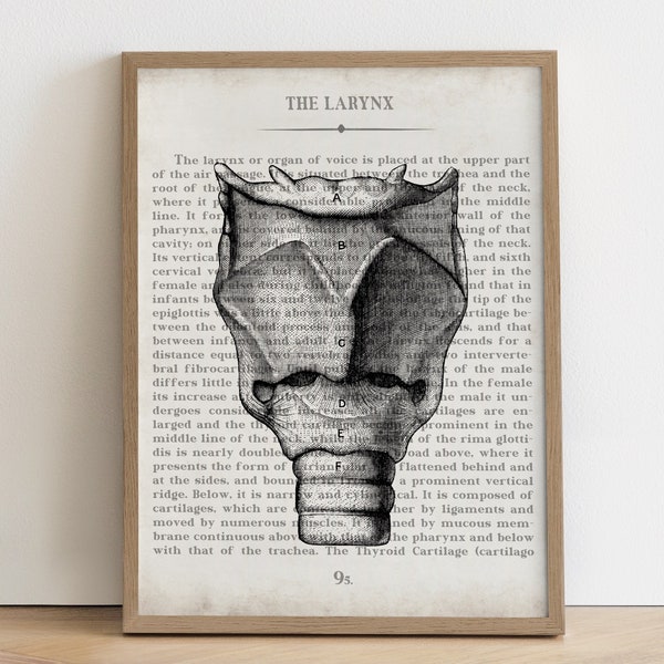 Speech Anatomy Art - Etsy