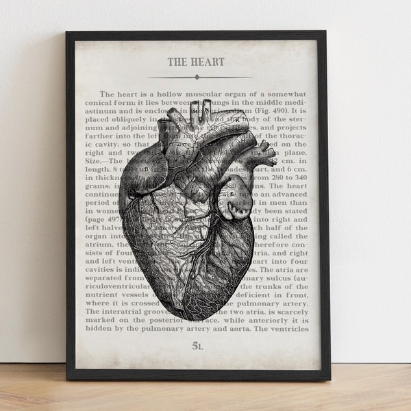 Anatomical Heart Art - Etsy