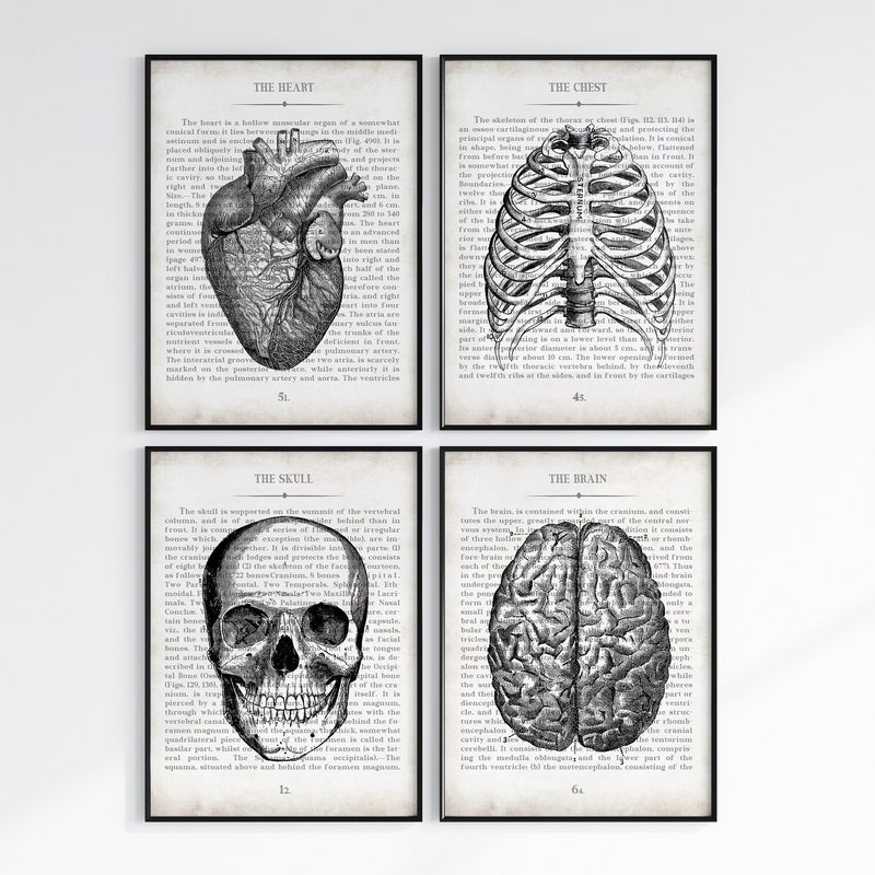 Medical Art - Etsy