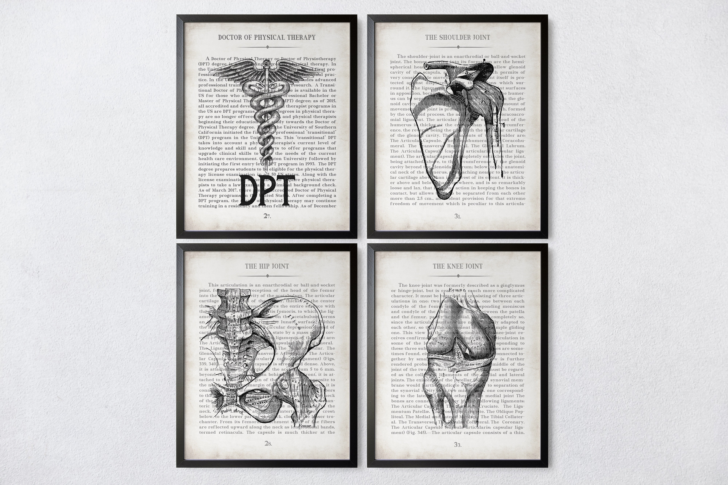 Physical Therapy Art