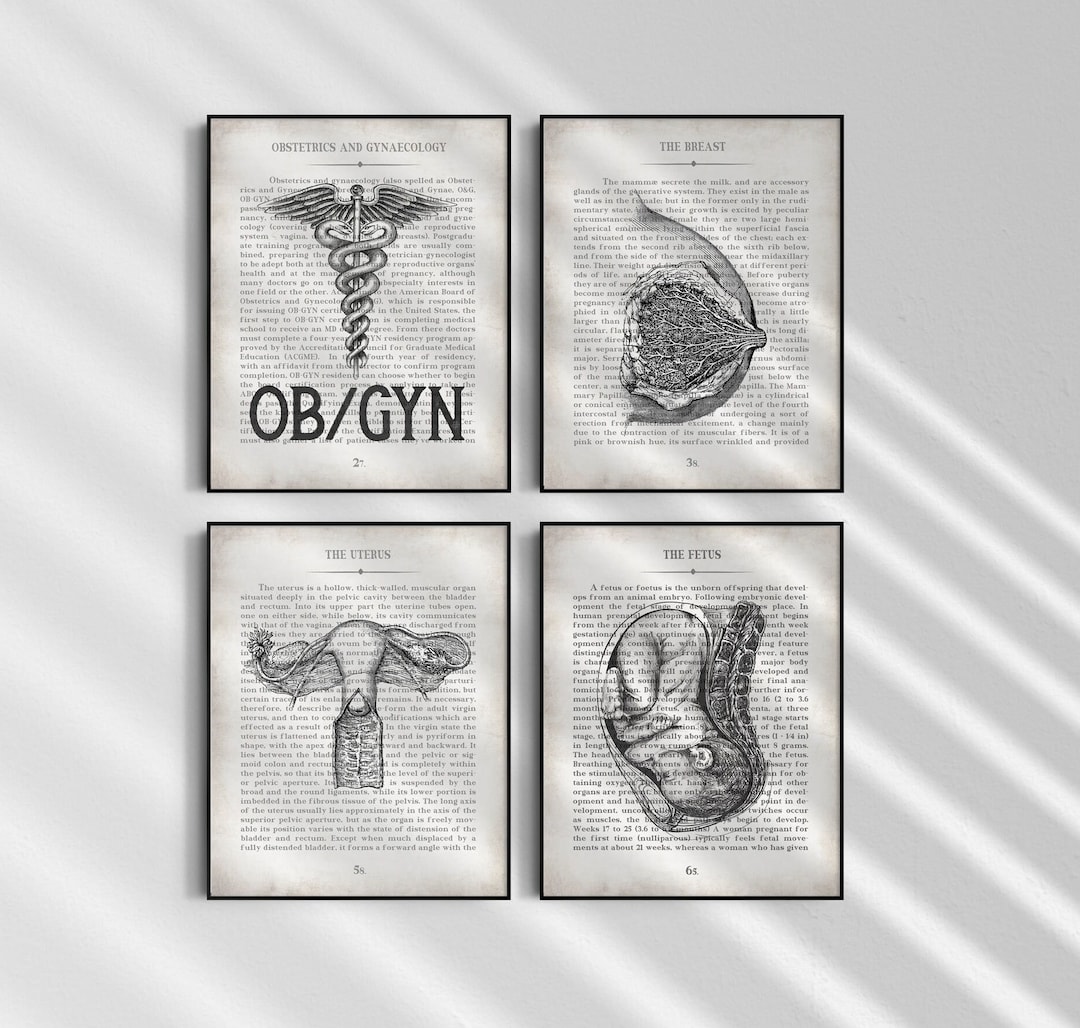 Obgyn Vintage Anatomy Wall Art Print Set Of 4 Ob Gyn Office Decor Ob