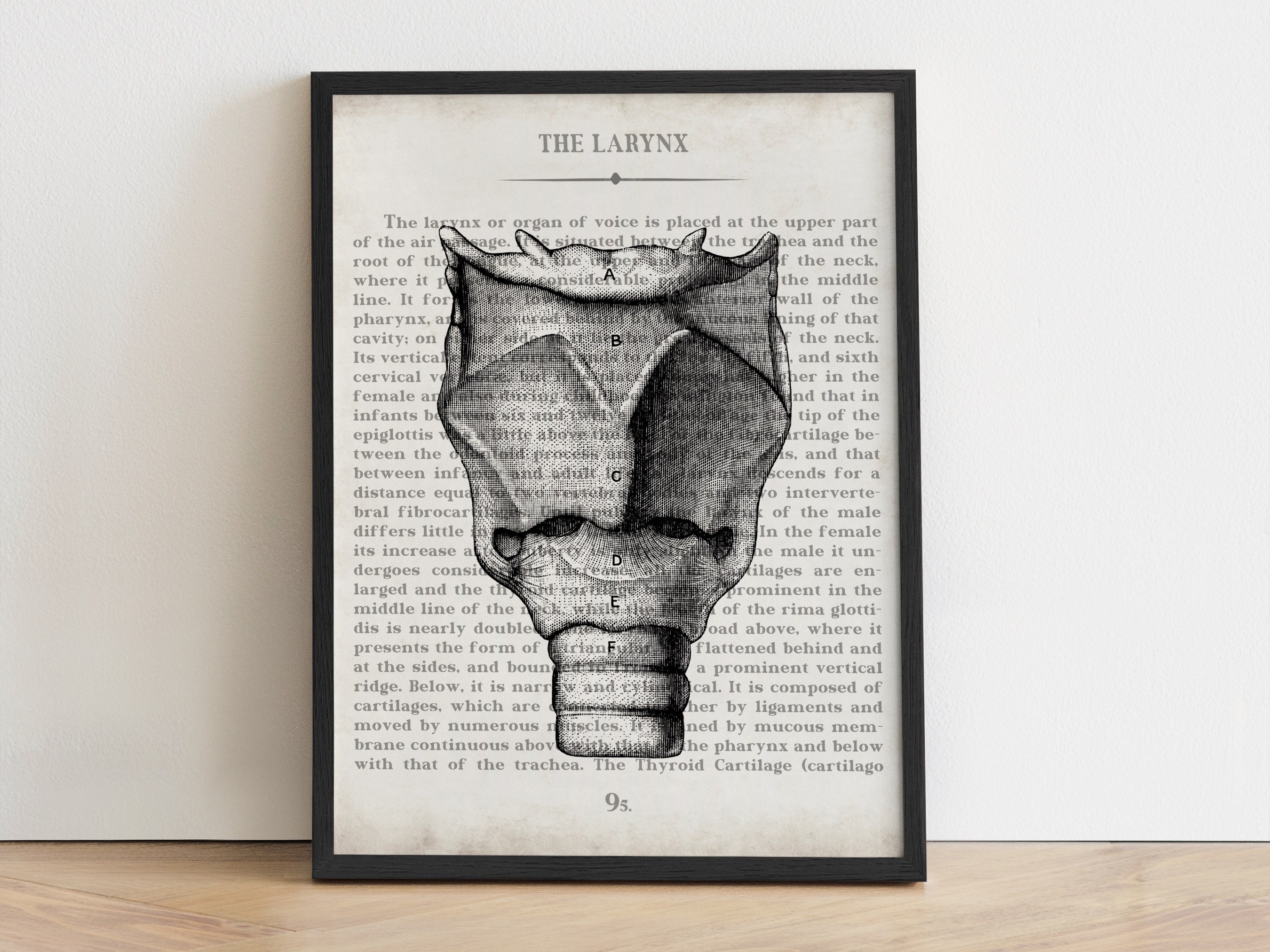 Vintage Larynx Anatomy Art Print: Speech Pathologist Gift, Graduation ...