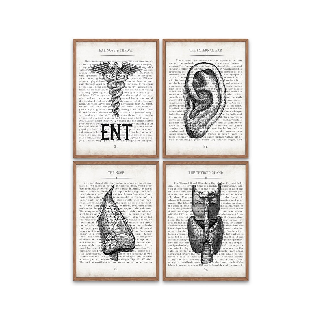 ENT Gift Vintage Anatomy Art Prints Set of 4 Ear Nose and Throat Doctor ...