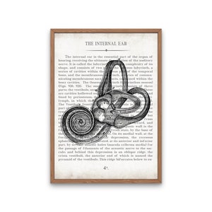 Vintage Ear Anatomy Art Print Set: Audiology Gift - Etsy