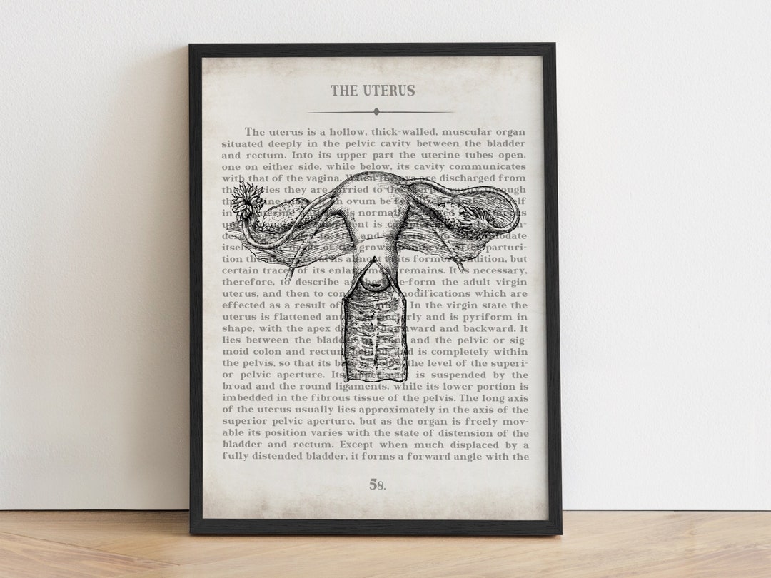 T For Obgyn Uterus Vintage Anatomy Art Print Gynecologist Office