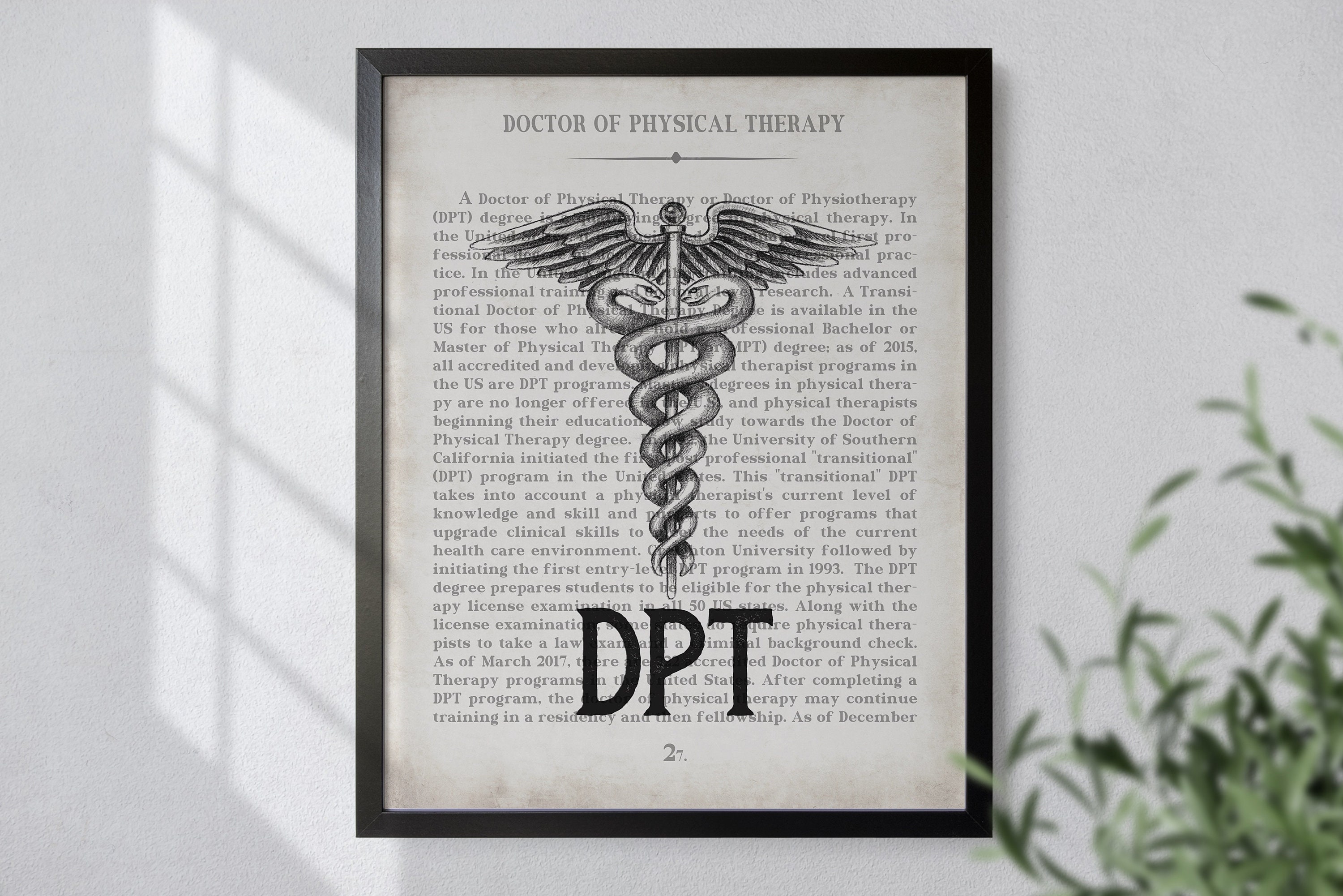 Doctor Of Physical Therapy Symbol