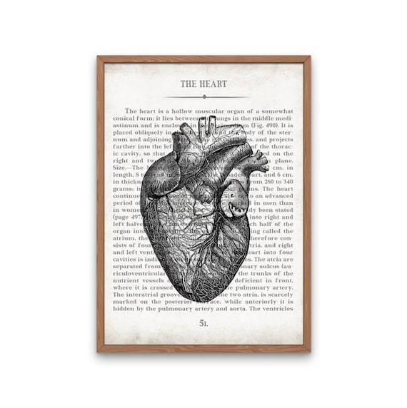 Anatomical Heart Vintage Anatomy Art Print Cardiologist Gift - Etsy