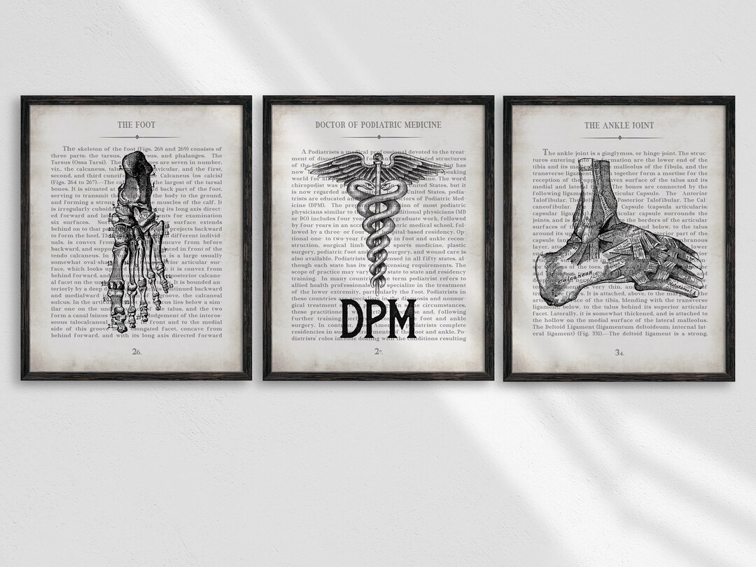 Podiatry Art Print Set: Vintage Foot & Ankle Anatomy, DPM Gift - Etsy