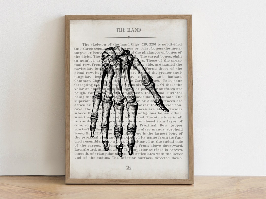 Occupational Therapy Wall Art - Perfect Gift for Ots Students and ...