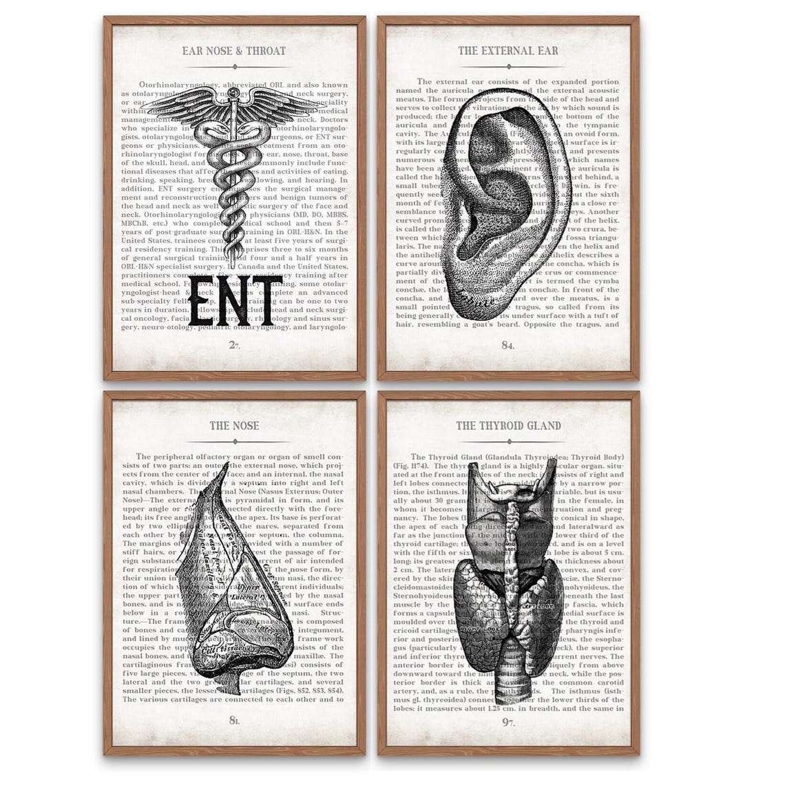 Vintage ENT Anatomy Art Print Set: Ear, Nose, Throat, Thyroid ...
