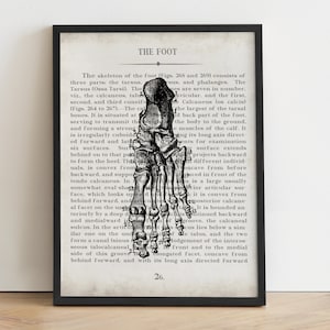 Podiatry Art Print Set: Vintage Foot & Ankle Anatomy, DPM Gift - Etsy