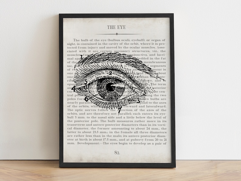 Eye Art Vintage Anatomy Art Print Optometry Optometrist - Etsy