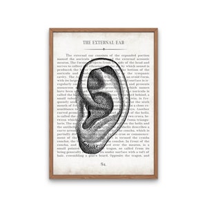 Vintage Ear Anatomy Art Print Set: Audiology Gift, Christmas Gift - Etsy