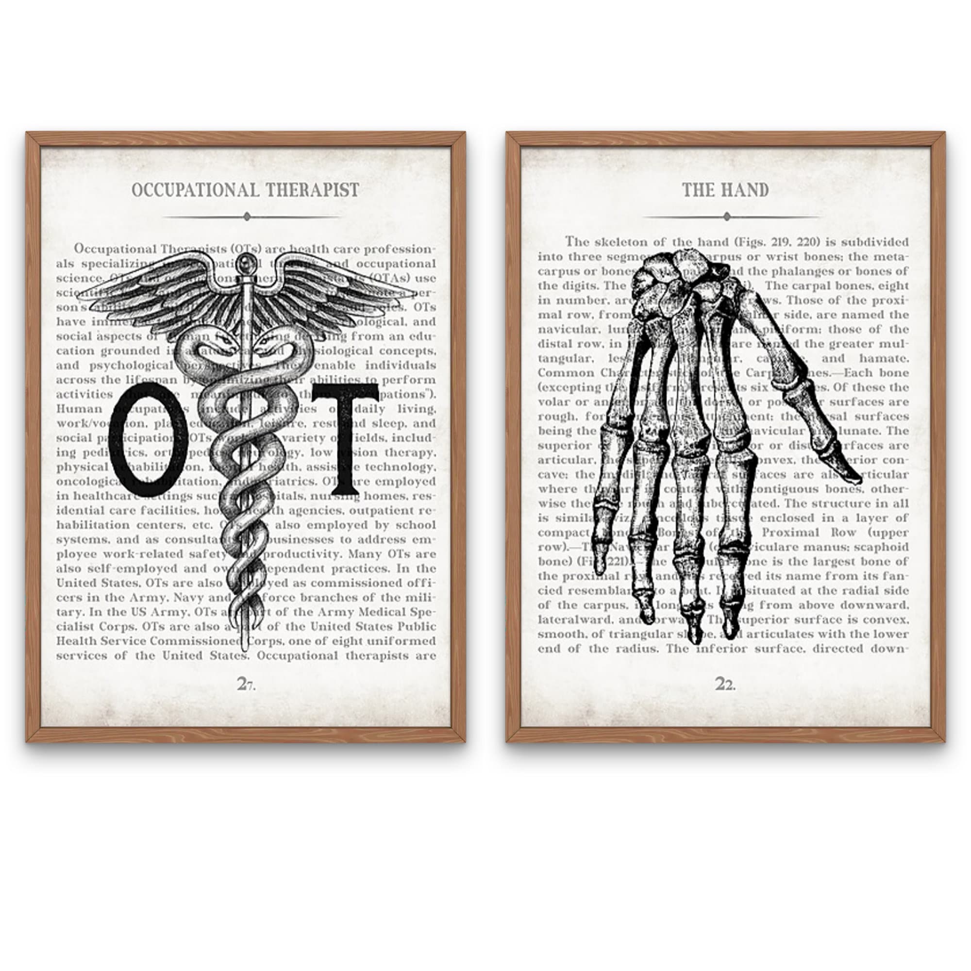 Occupational Therapy Gift OT and Hand Vintage Anatomy Art Print Set of ...