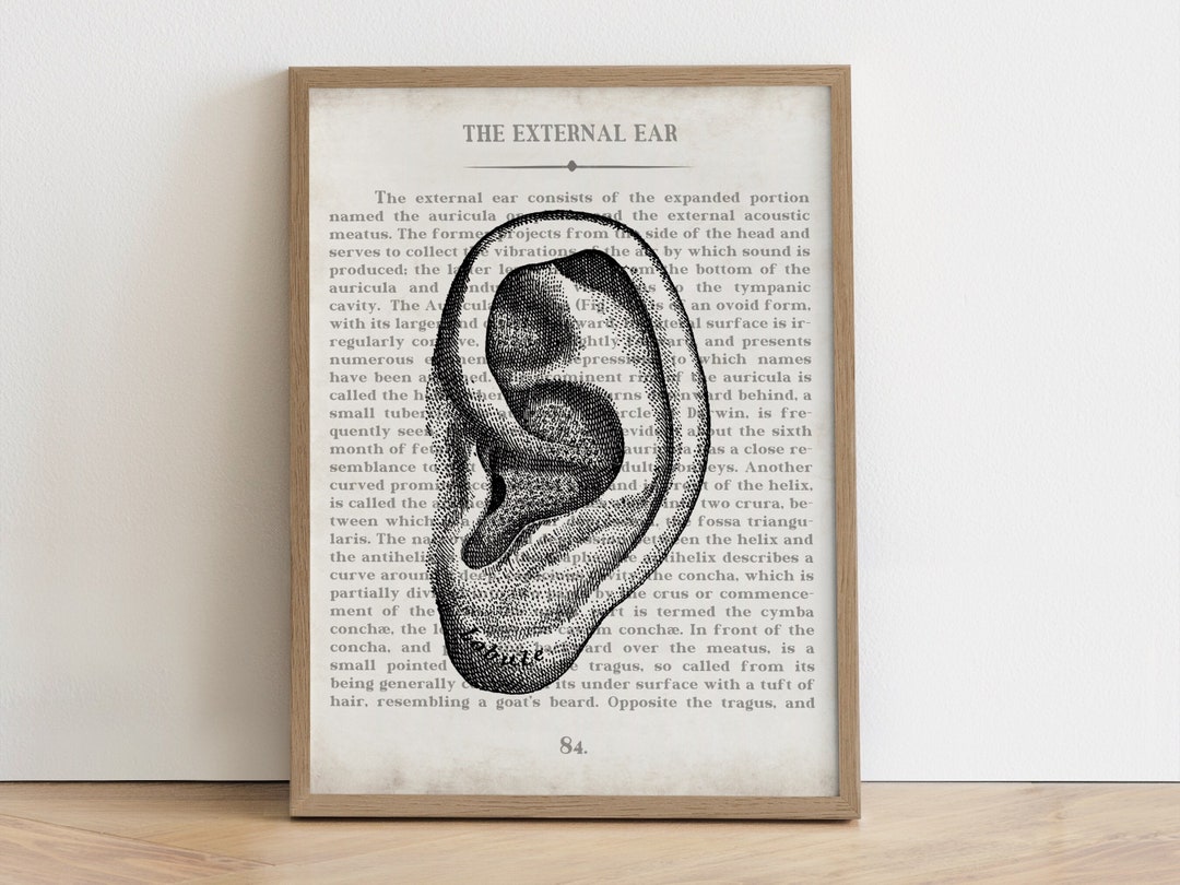 Ear Vintage Art Print Audiologist and Otolaryngology Student Graduation ...