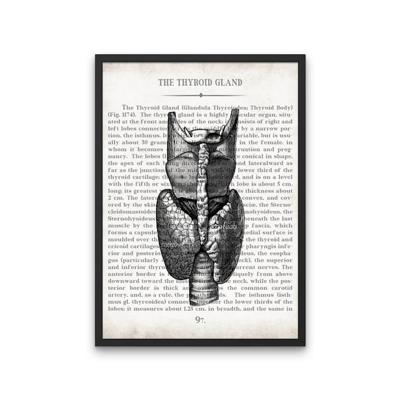 Thyroid Art Vintage Anatomy Art Print Thyroid Cancer Awareness - Etsy