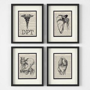 Physical Therapist DPT Vintage Anatomy Book Page Art Print | Etsy