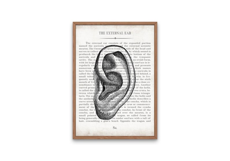 Vintage ENT Anatomy Art Print Set: Ear, Nose, Throat, Thyroid ...