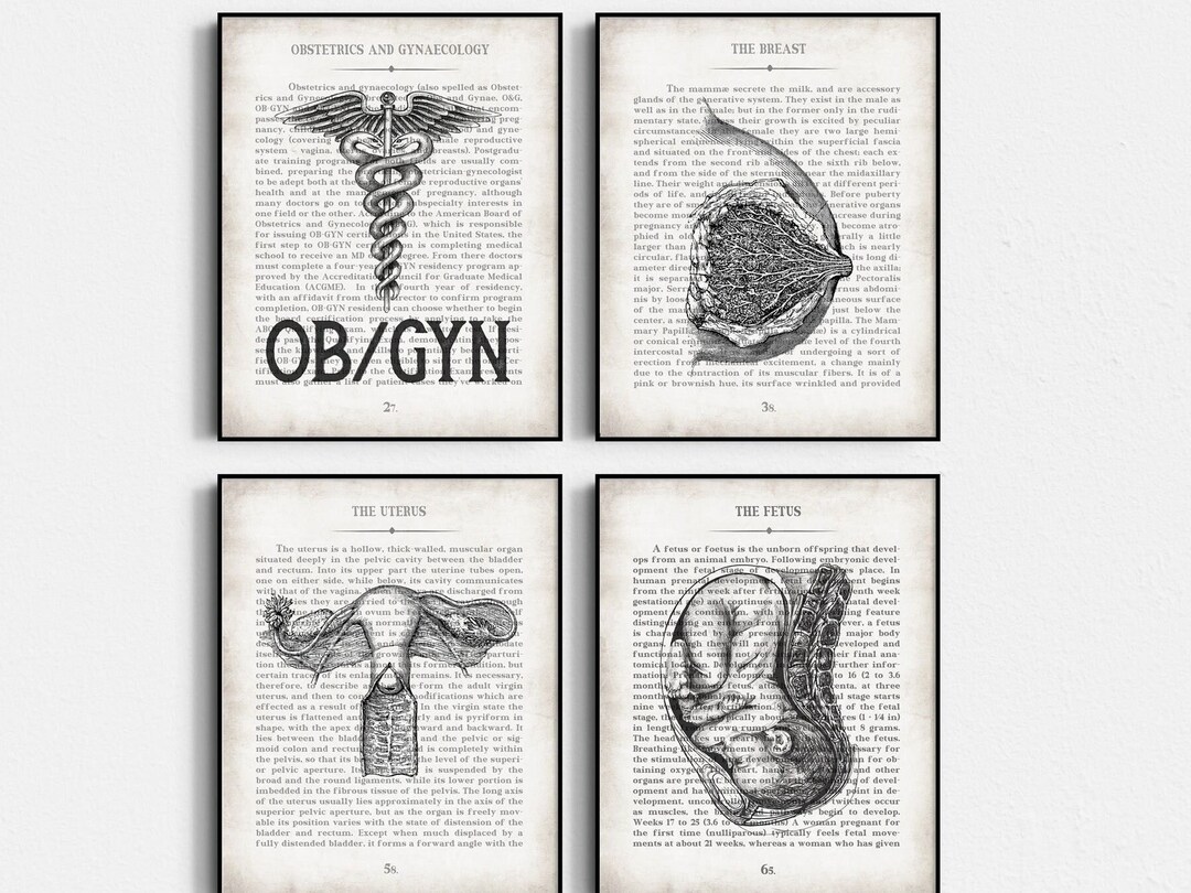 Vintage Anatomy Art Print Set: OB-GYN Office Decor - Etsy