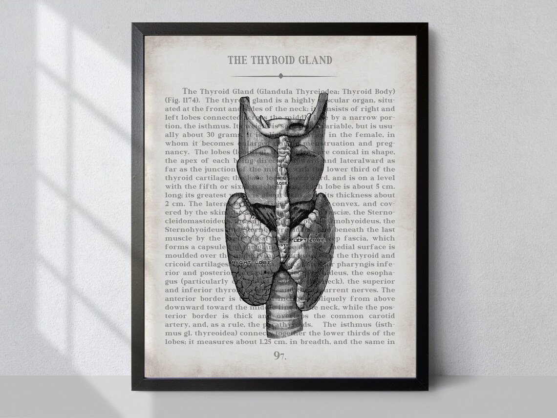Thyroid Art Vintage Anatomy Art Print Thyroid Cancer Awareness - Etsy