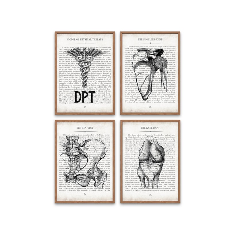 Physical Therapy DPT Vintage Anatomy Art Print Collection of 4 - Etsy