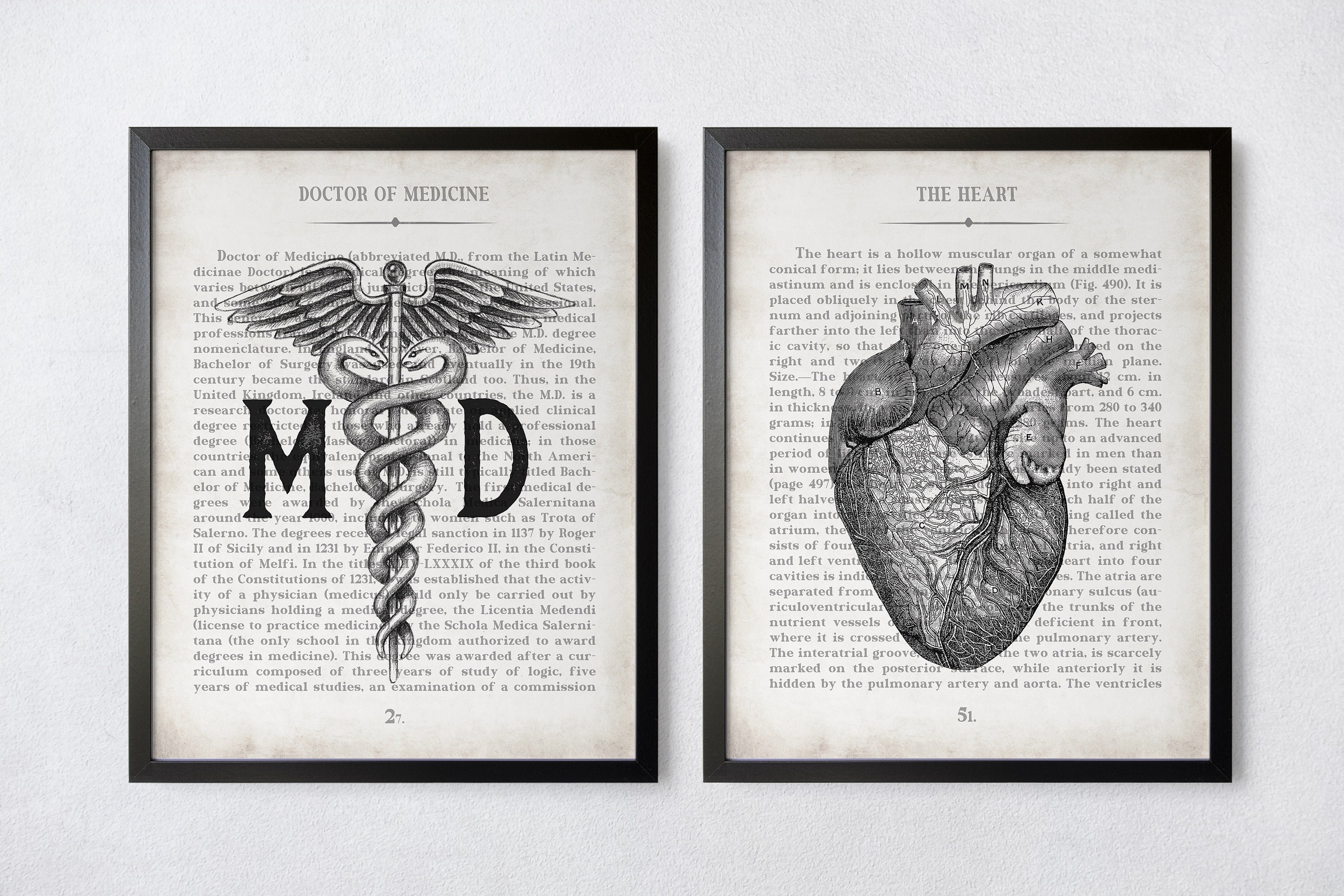 Latin Vintage Human Anatomy Poster