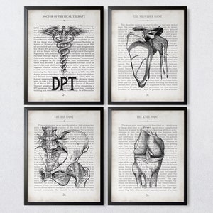 Physical Therapist DPT Vintage Anatomy Art Print Set of 4 Physical ...