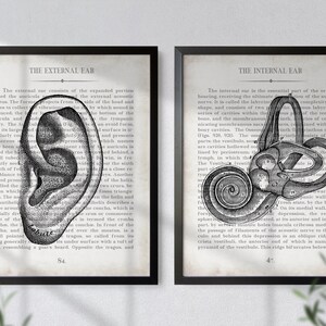 Ear Art Ear and Inner Ear Vintage Anatomy Art Print Set of 2 Audiology ...