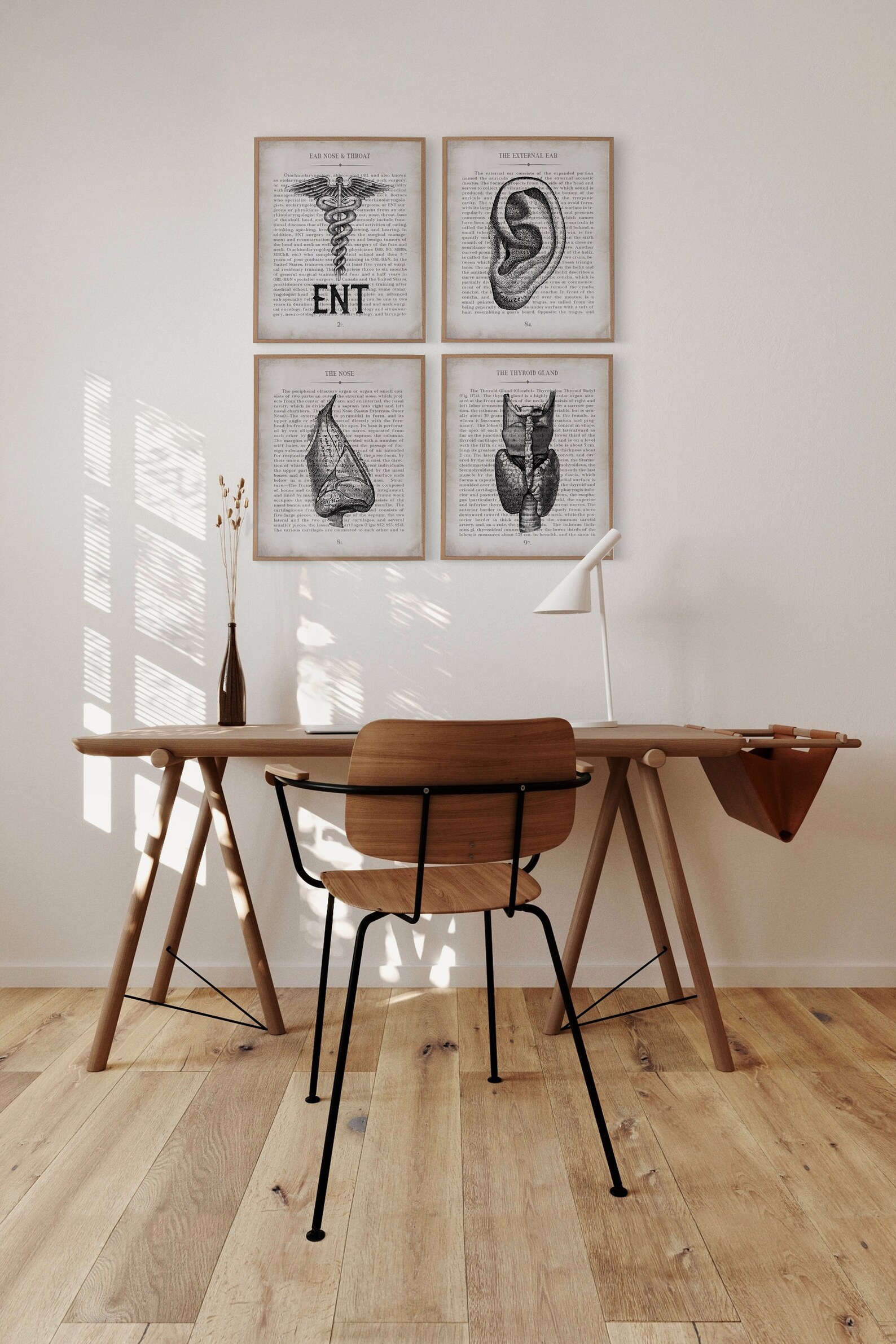 ENT Gift ENT Ear Nose and Throat Vintage Anatomy Art Print Set - Etsy