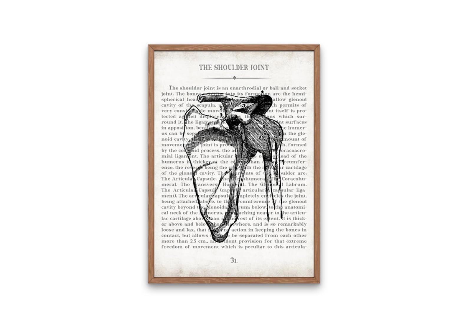 Physical Therapy DPT Vintage Anatomy Art Print Collection of 4 - Etsy