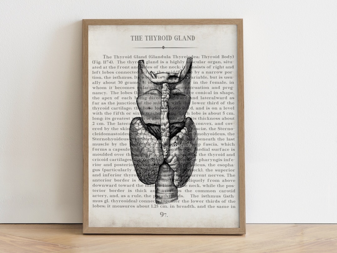Thyroid Art Vintage Anatomy Art Print Thyroid Cancer Awareness Thyroid ...