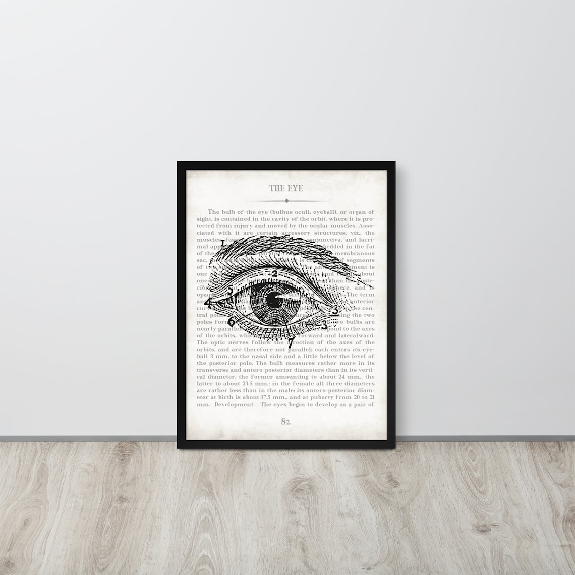 Optometrist Gift Eye Art Vintage Anatomy Art Print Optometry - Etsy