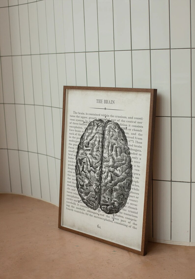 Vintage Anatomy Brain Art Print: Neurologist Gift, Medical Decor ...