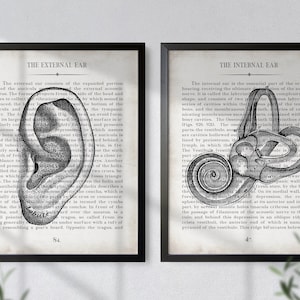 Vintage Ear Anatomy Art Print Set: Audiology Gift, Graduation Gift - Etsy
