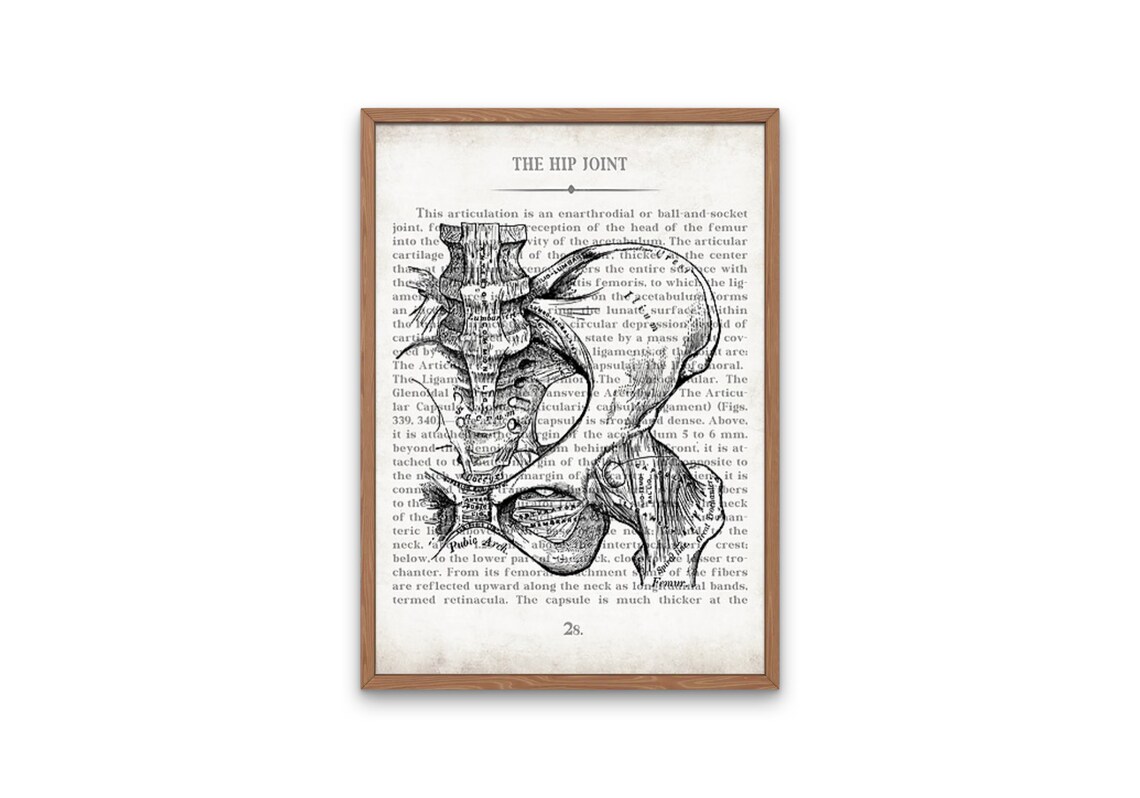 Physical Therapy DPT Vintage Anatomy Art Print Collection of 4 - Etsy