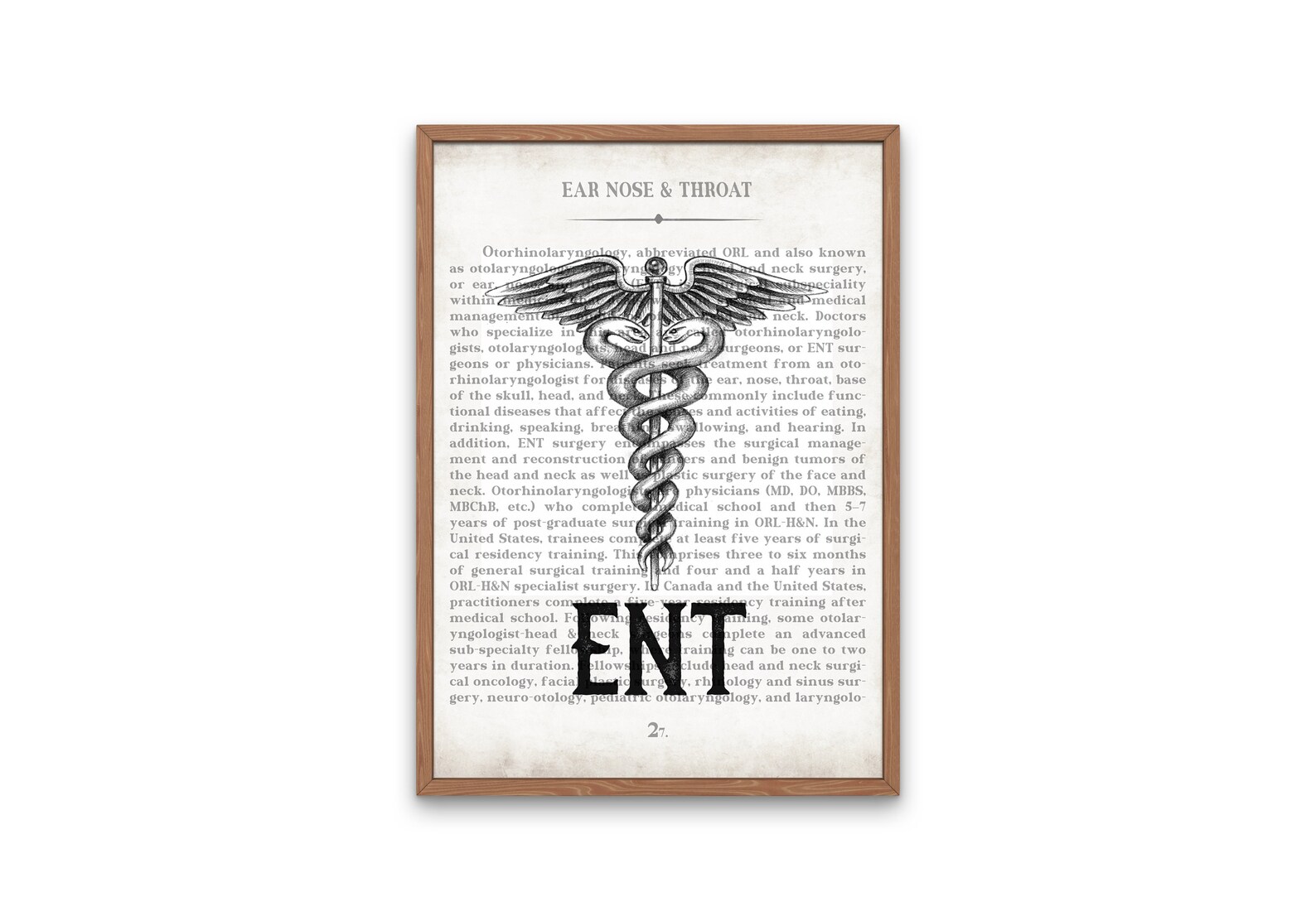 ENT Gift ENT Ear Nose and Throat Vintage Anatomy Art Print Set of 4 - Etsy
