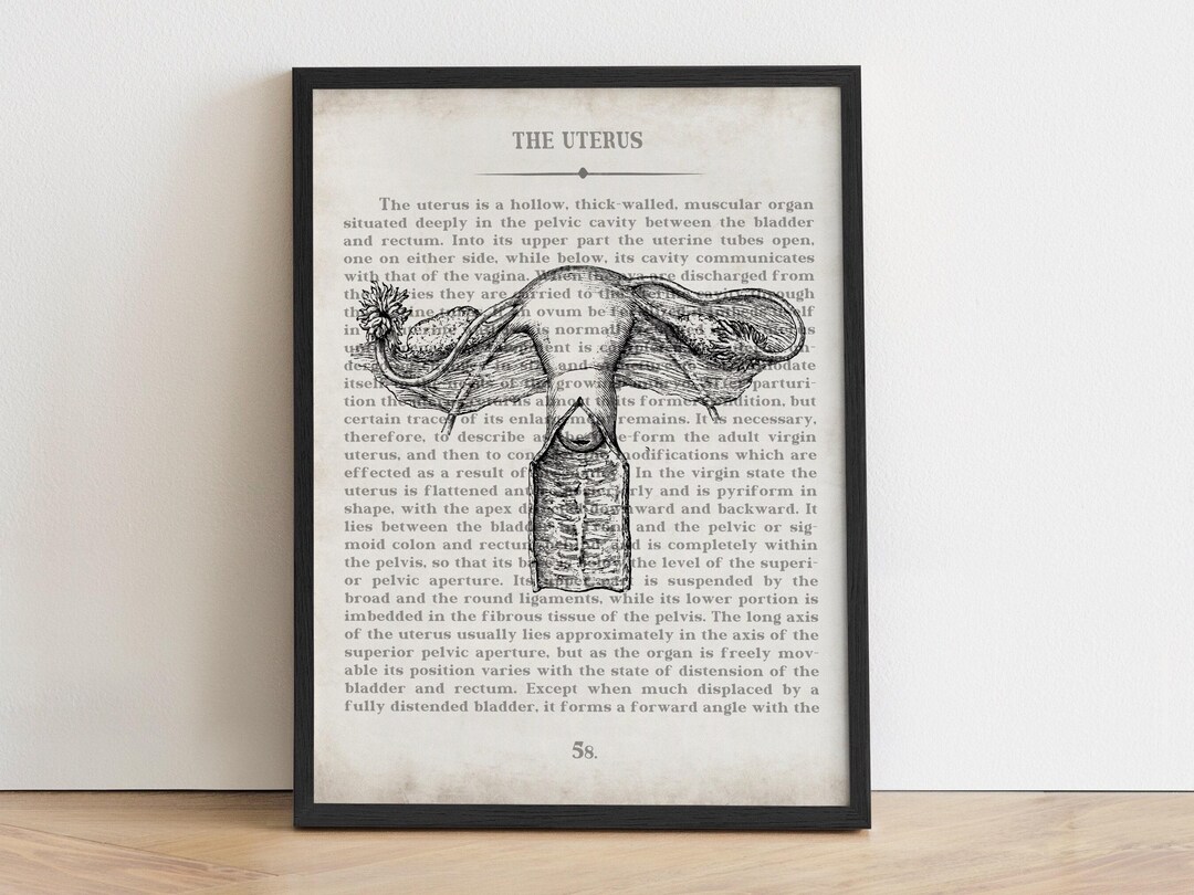 Vintage Uterus Anatomy Art Print Gynecologist Office Decor Ovary Wall ...