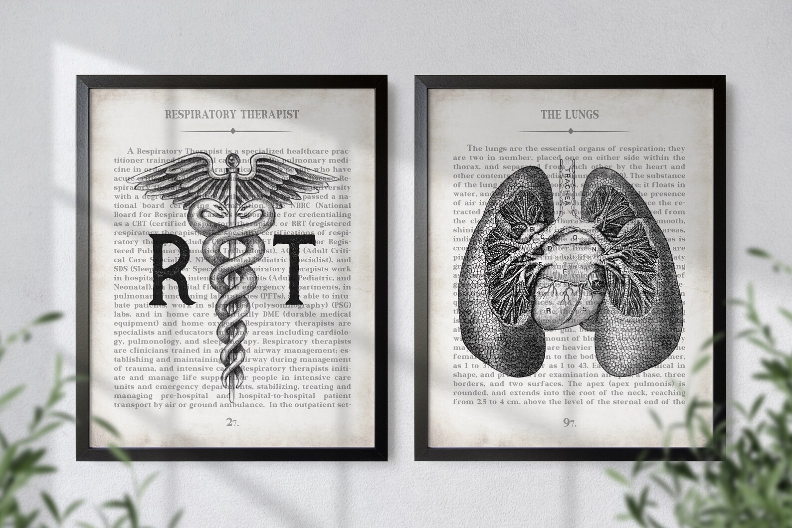 Respiratory Therapist RT & Lungs Vintage Anatomy Art Print Set - Etsy