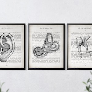 Ear Art Ear Inner Ear Ossicle Vintage Anatomy Art Print Set of 3 ...