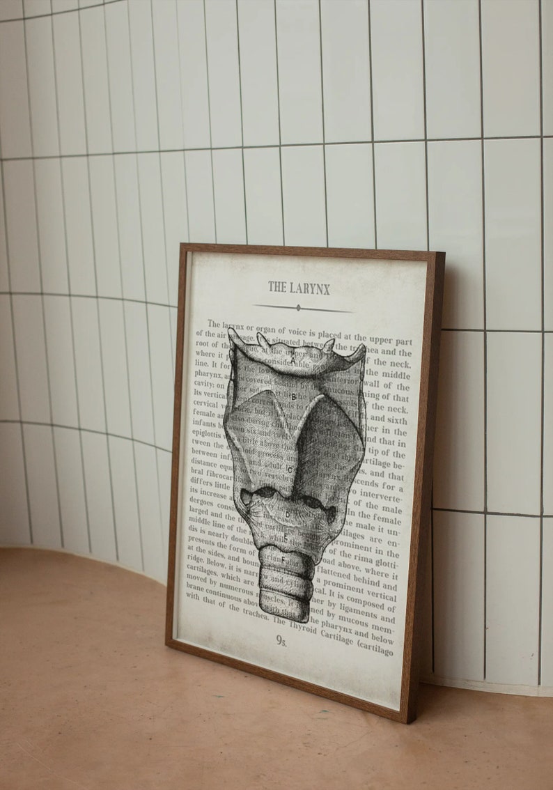 Vintage Larynx Anatomy Art Print: Speech Therapy Gift - Etsy