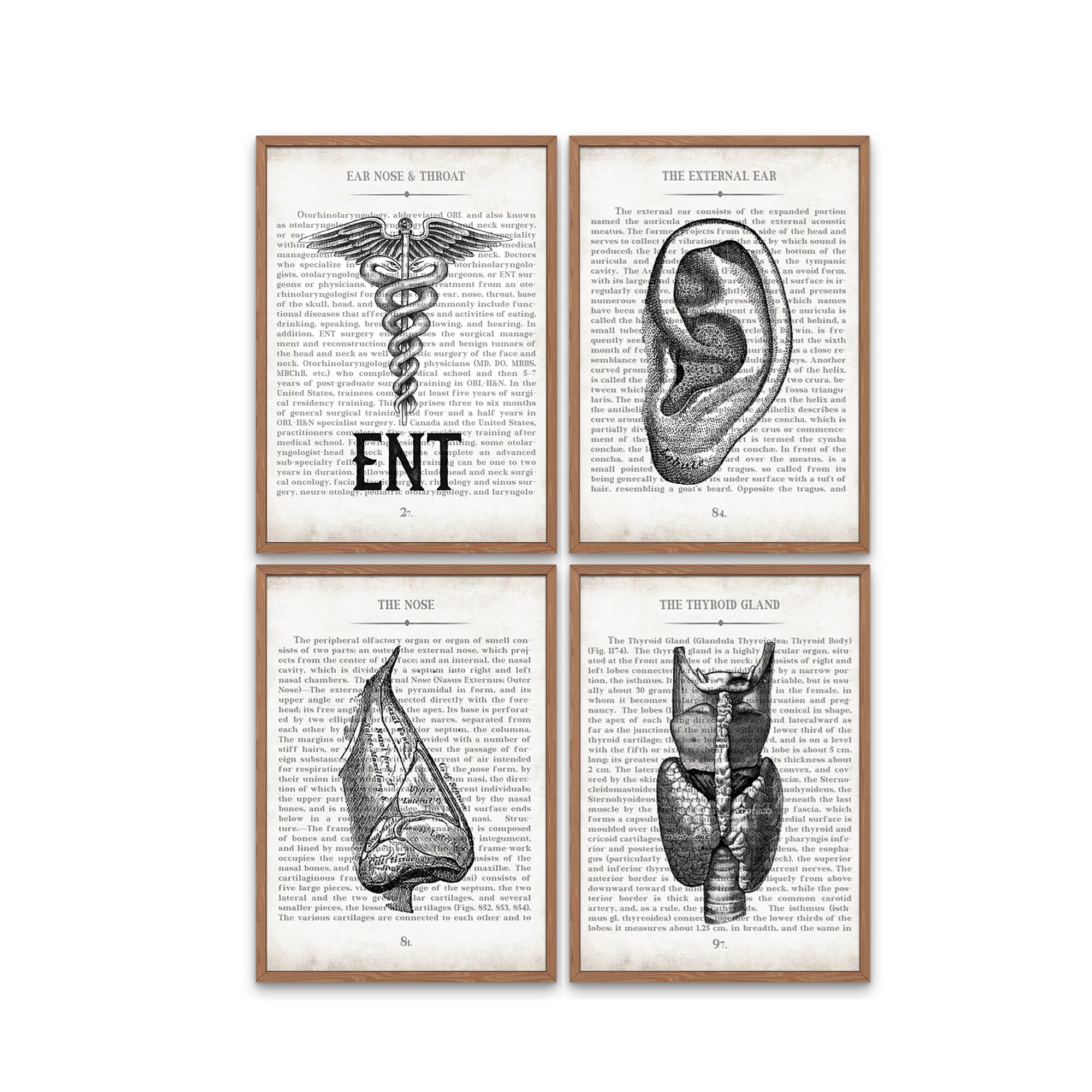 ENT Gift ENT Ear Nose and Throat Vintage Anatomy Art Print Set of 4 - Etsy