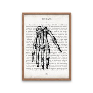 Hand Elbow Shoulder Vintage Anatomy Art Print Set of 3 Physical Therapy ...